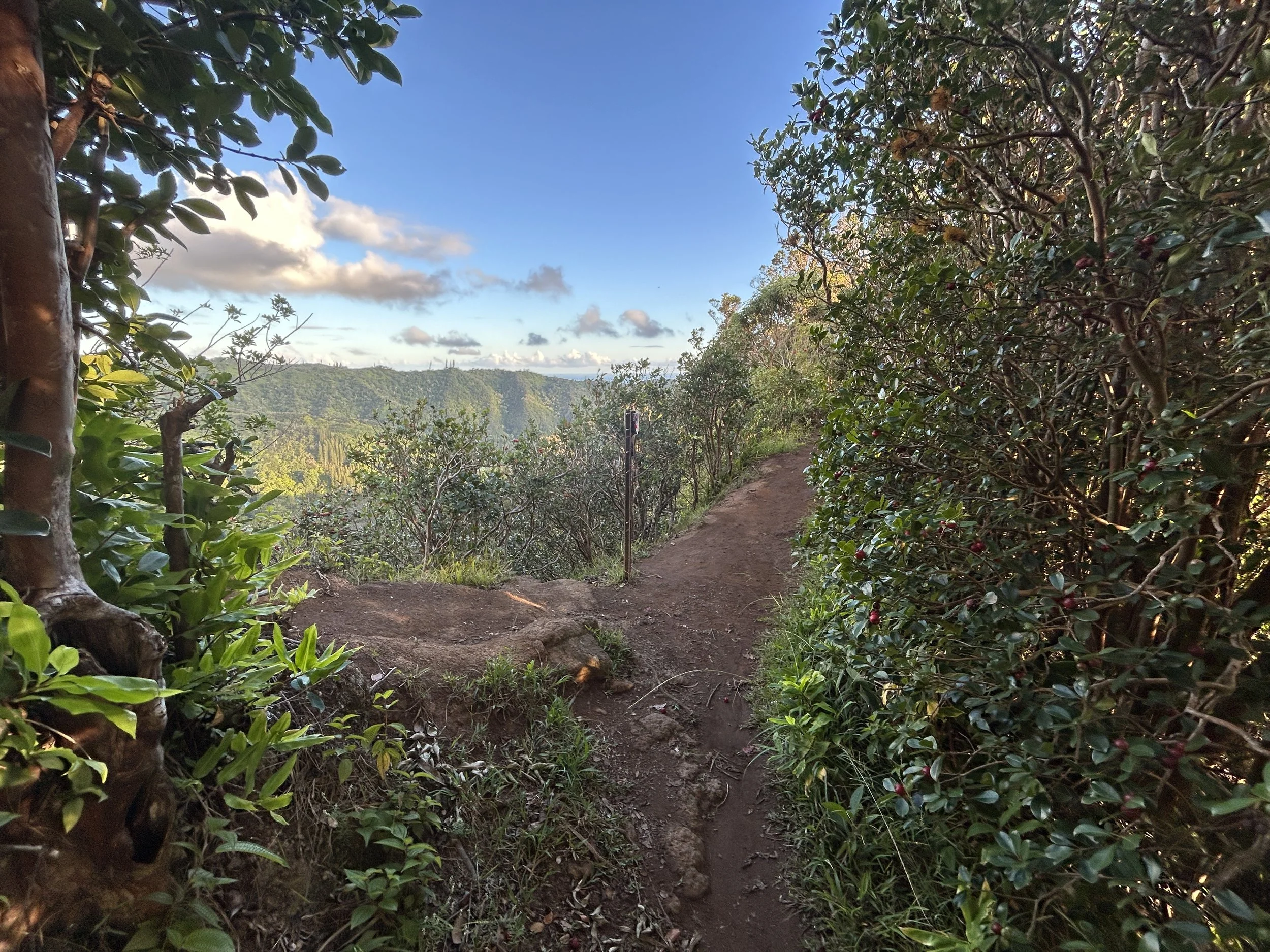 Hiking the Kolowalu Trail to Waʻahila Ridge on Oʻahu — noahawaii