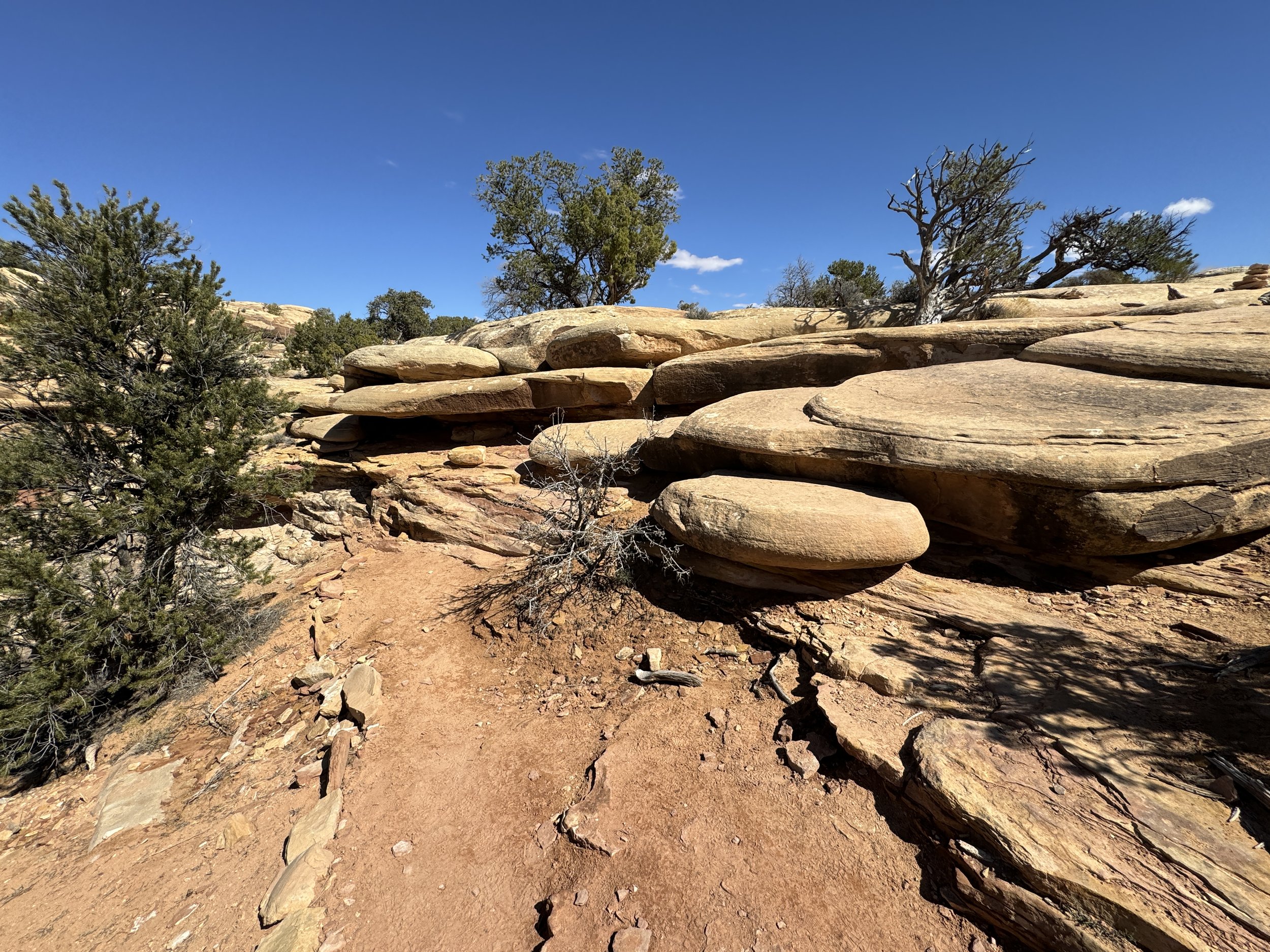 Hiking the Slickrock Trail in Canyonlands National Park — noahawaii