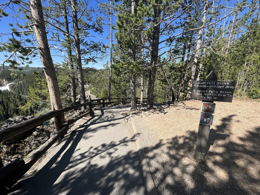 Hiking the Brink of the Lower Falls Trail in Yellowstone National Park ...