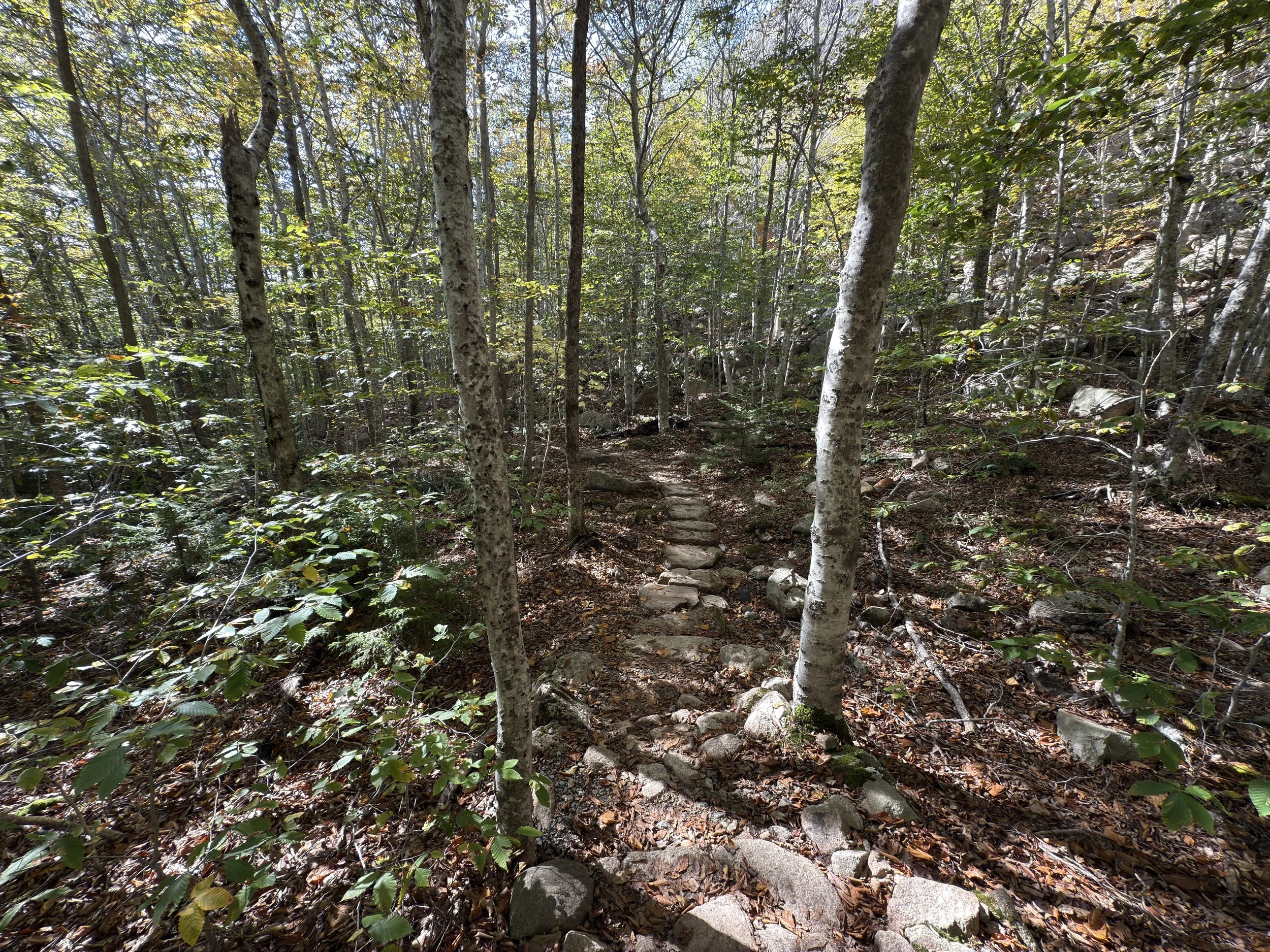 Hiking the Bubbles Trail in Acadia National Park — noahawaii