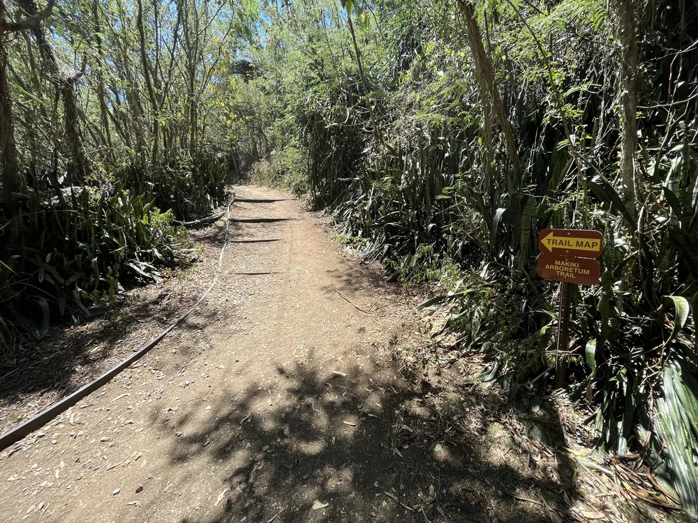 Hiking the Tantalus Loop Trail to the Pauoa Flats Bench on Oʻahu ...