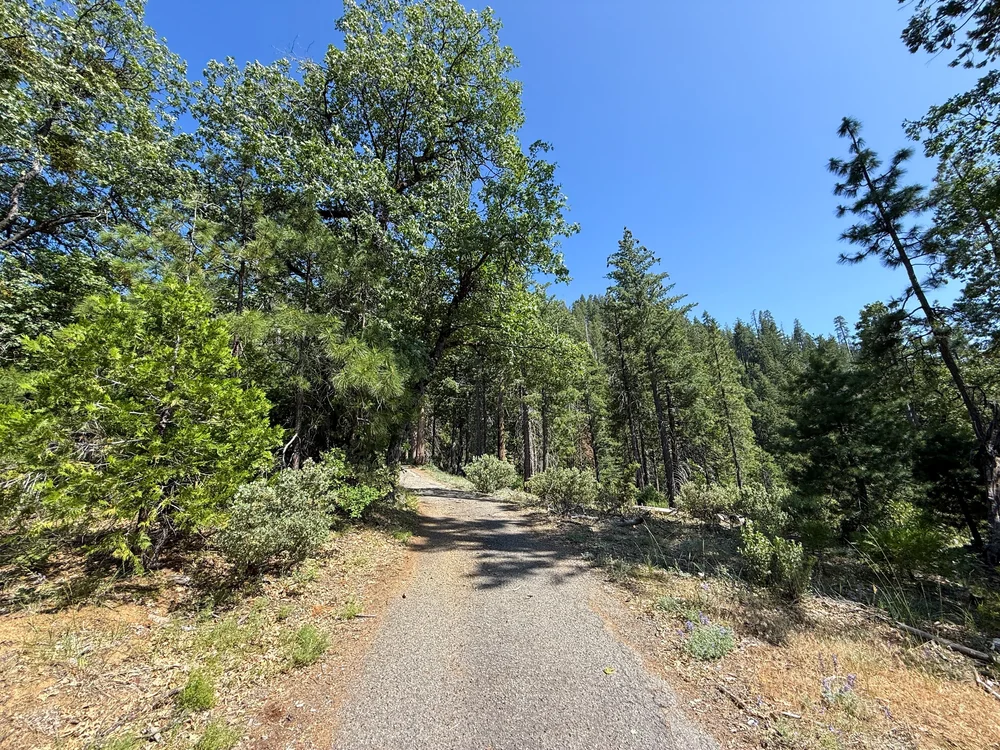 Hiking the Turtleback Dome Trail in Yosemite National Park — noahawaii