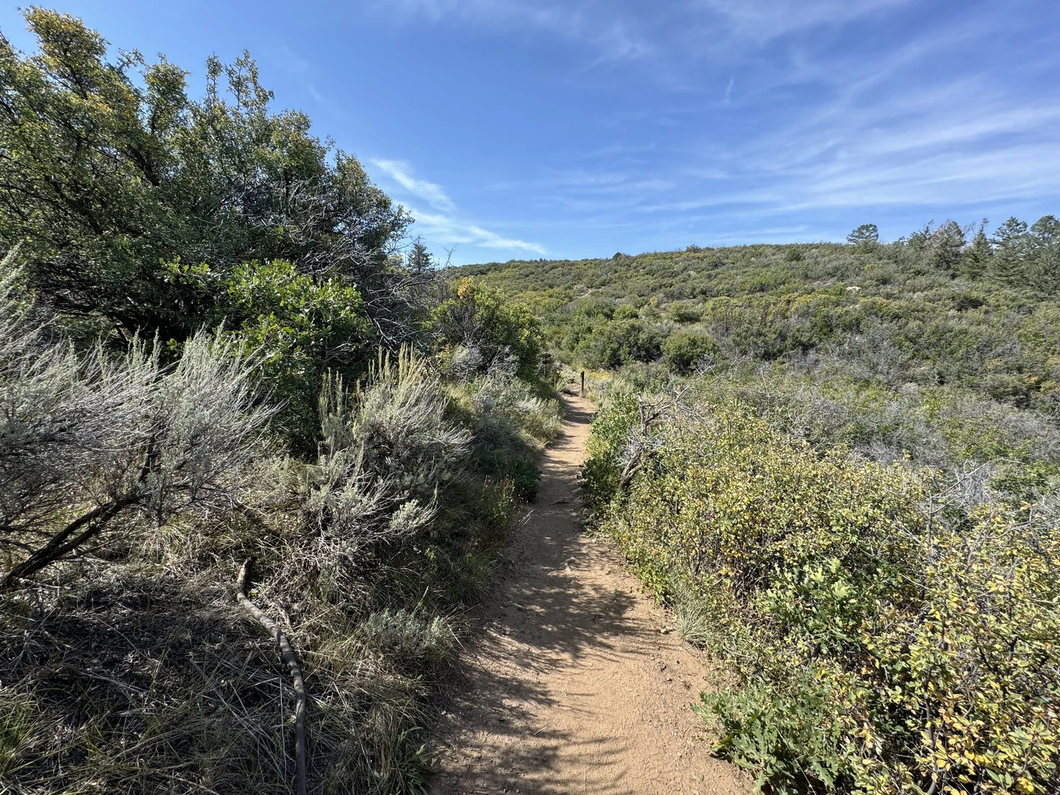 Hiking the Oak Flat Loop Trail in Black Canyon of the Gunnison National ...