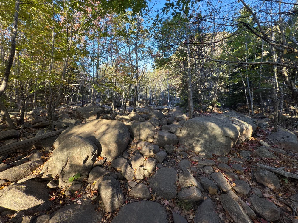Hiking the Beehive Trail in Acadia National Park — noahawaii