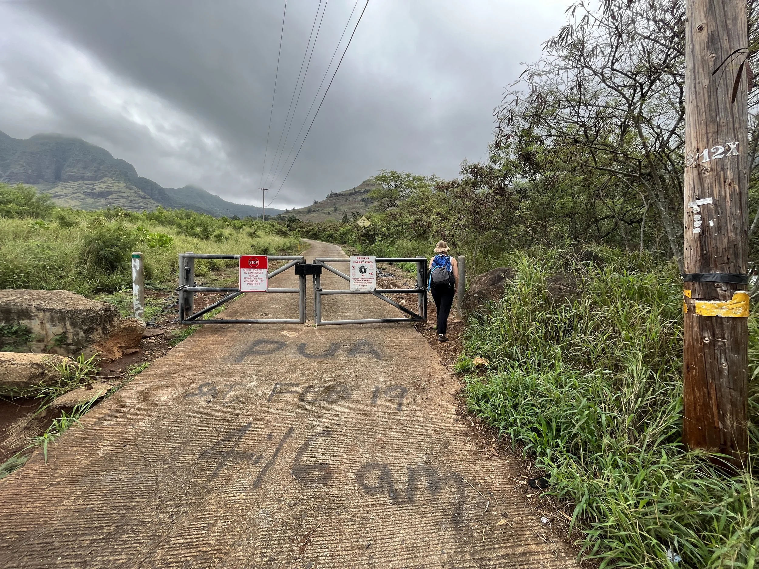 Hiking the Mt. Kaʻala Trail: The Tallest Point on Oʻahu — noahawaii