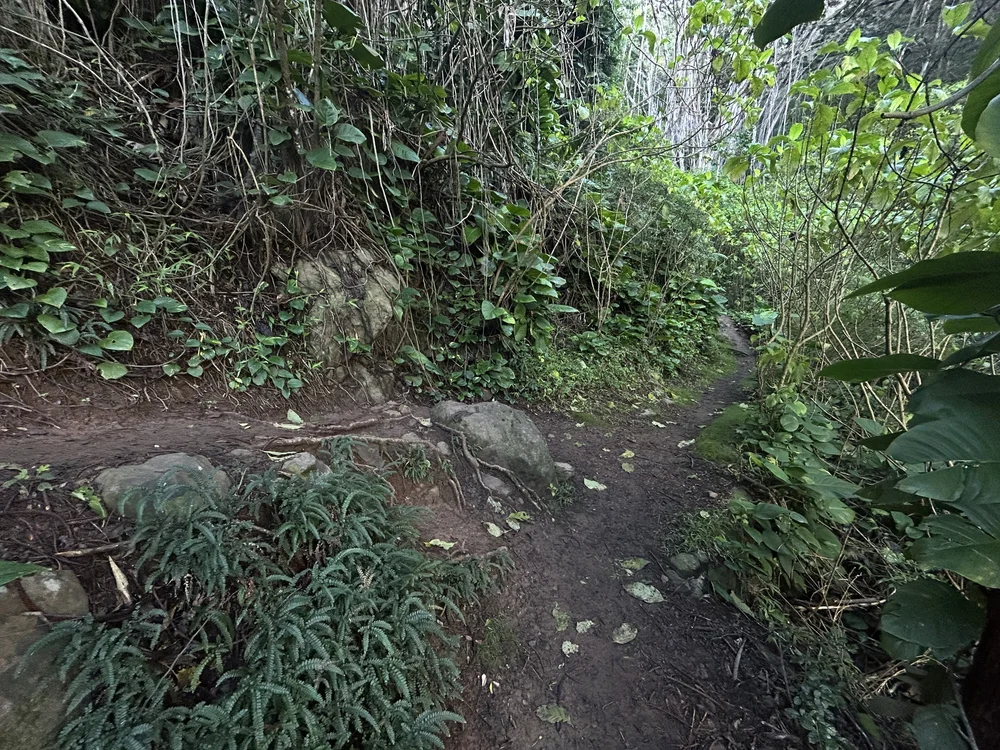 Hiking the Oneʻawa Hills Trail (Kapaʻa Quarry) via the Friendship ...