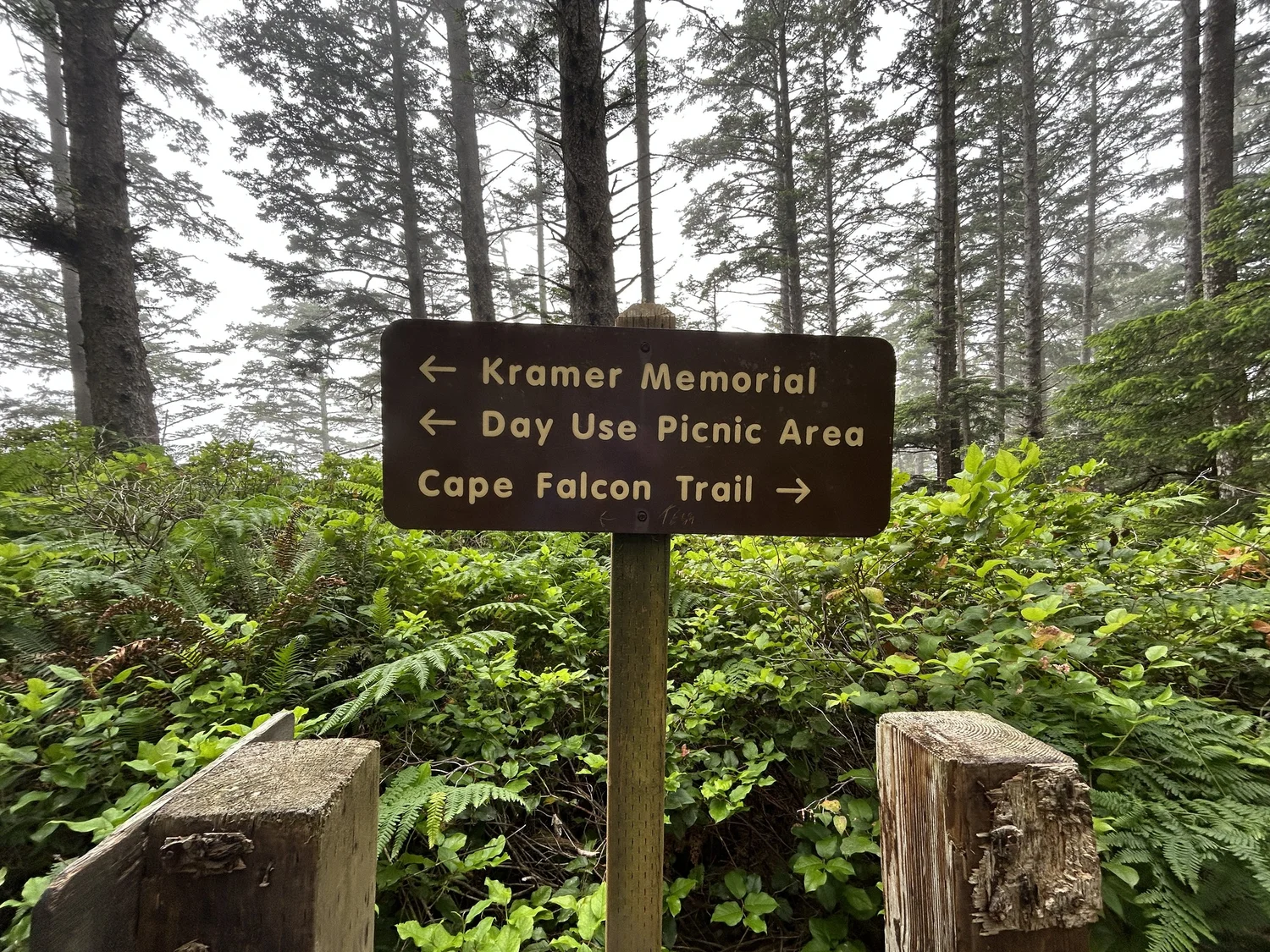 Hiking the Cape Falcon Trail on the Oregon Coast — noahawaii