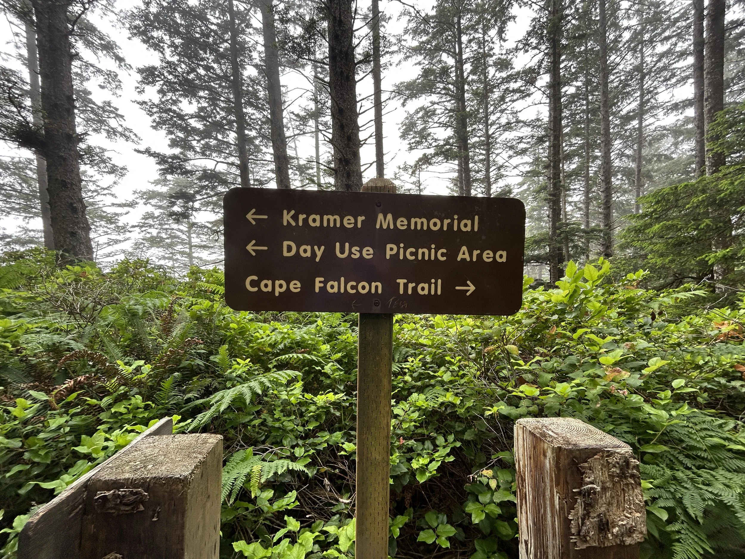 Hiking the Cape Falcon Trail on the Oregon Coast — noahawaii