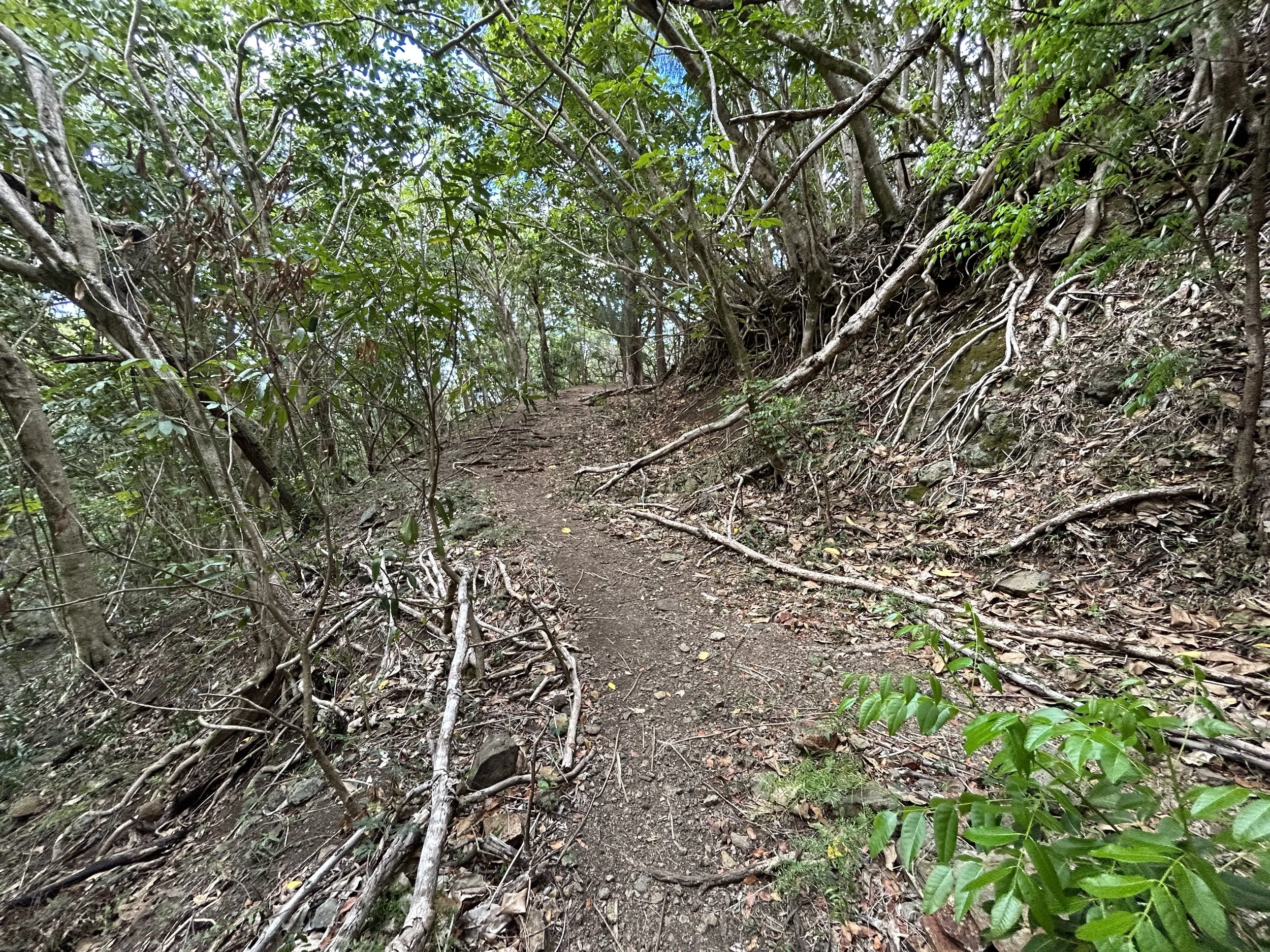Hiking the Pyramid Rock Loop Trail on Oʻahu — noahawaii