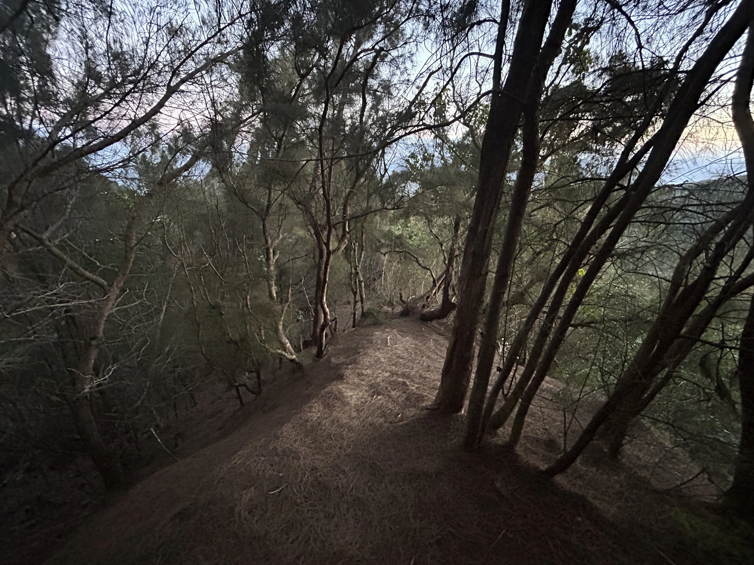 Hiking the Pyramid Rock Loop Trail on Oʻahu — noahawaii