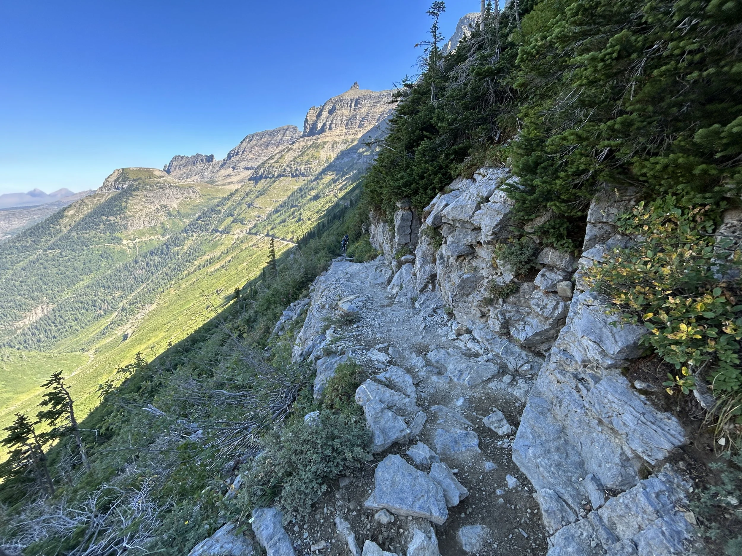 Hiking the Highline Trail (The Loop) in Glacier National Park — noahawaii