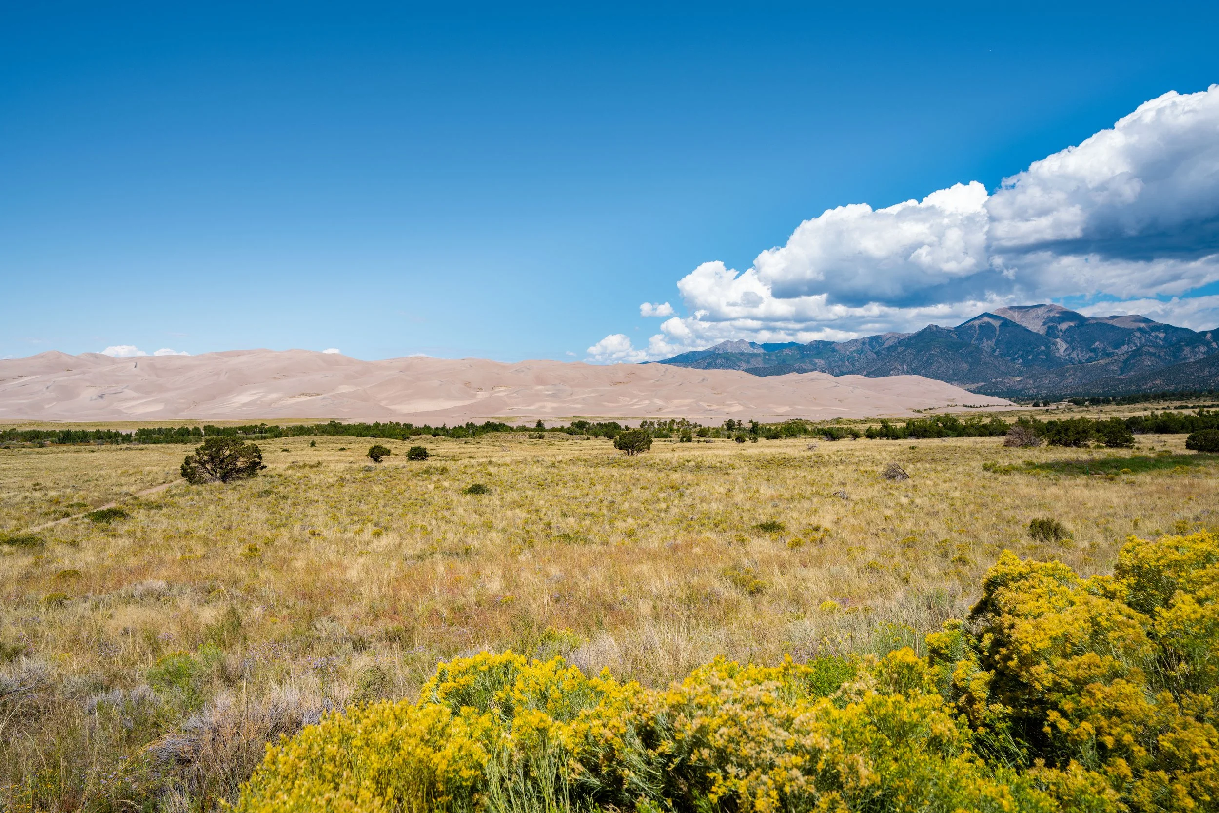 10 Best Things to Do in Great Sand Dunes National Park & Preserve ...
