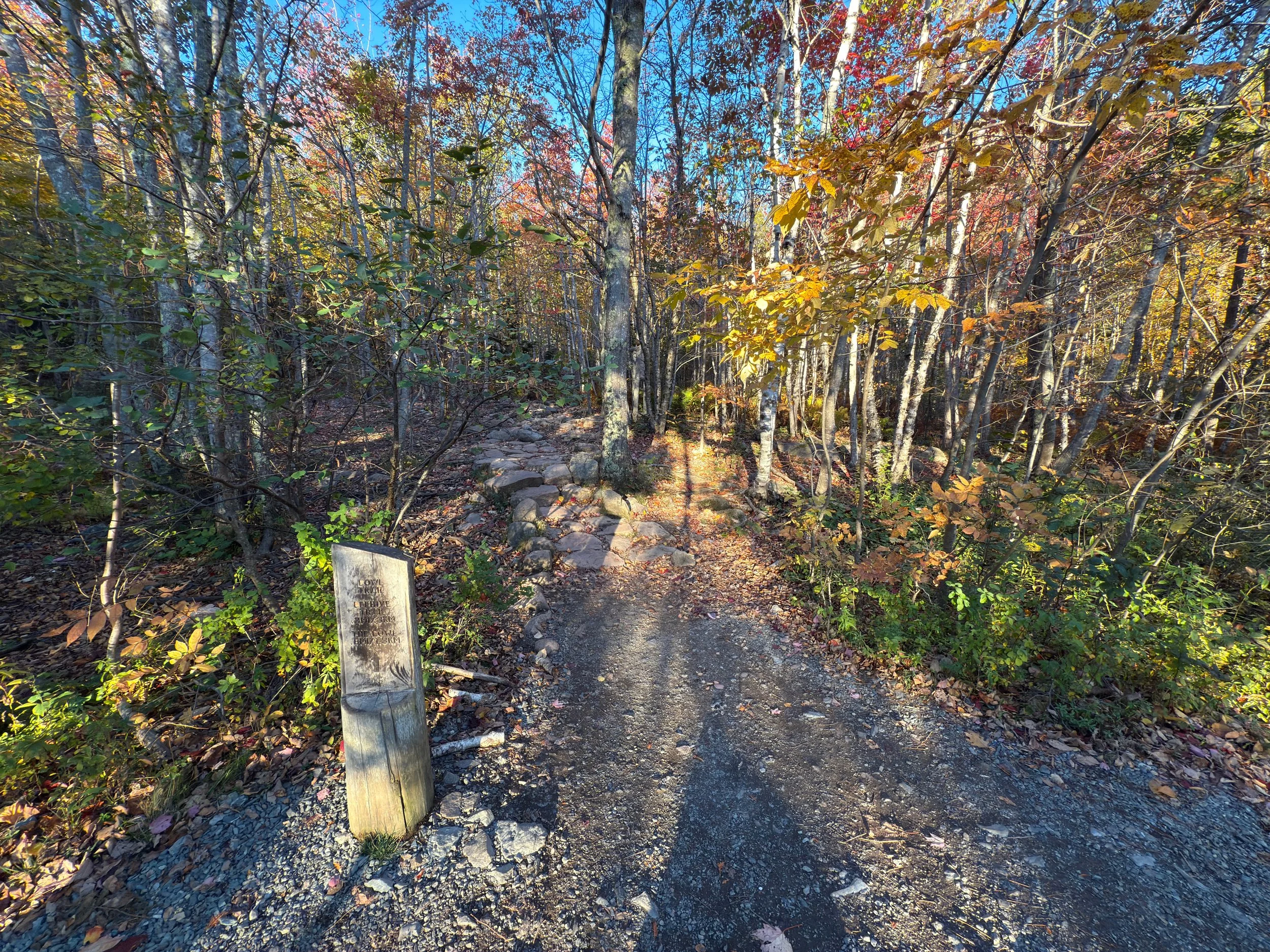 Hiking the Beehive Trail in Acadia National Park — noahawaii