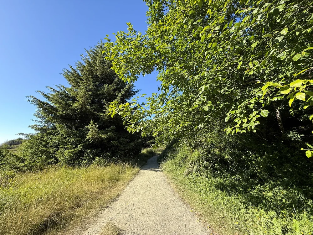 Hiking the Fern Canyon Loop Trail in Prairie Creek Redwoods State Park ...