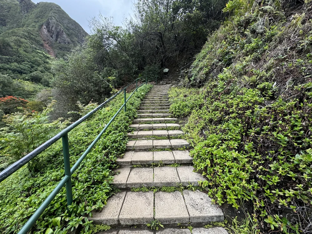 Hiking the ʻĪao Valley Tableland Trail ('Secret' Trail) on Maui ...
