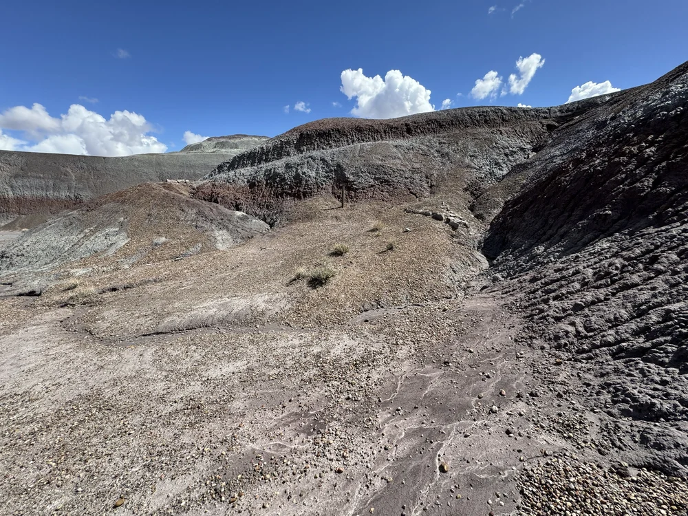 Hiking the Historic Blue Forest Trail in Petrified Forest National Park ...