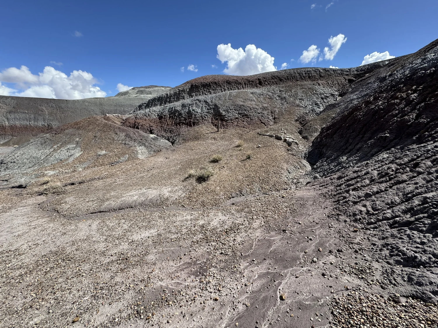 Hiking the Historic Blue Forest Trail in Petrified Forest National Park ...