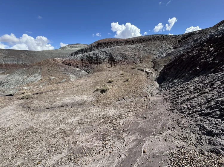 Hiking the Historic Blue Forest Trail in Petrified Forest National Park ...