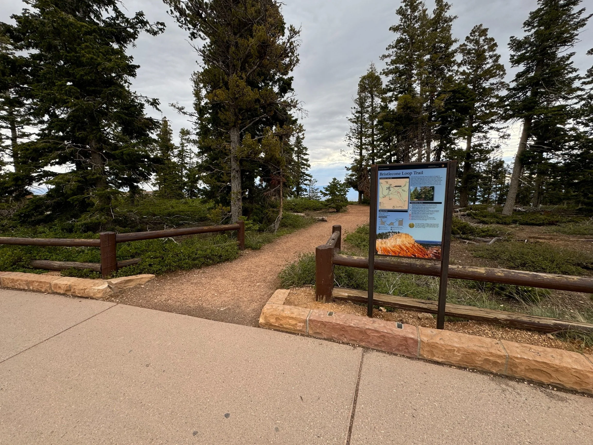 Hiking the Riggs Spring Loop Trail in Bryce Canyon National Park ...