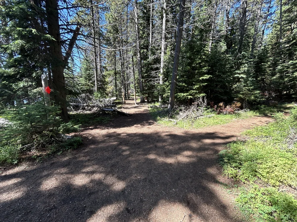Hiking the Storm Point Trail in Yellowstone National Park — noahawaii