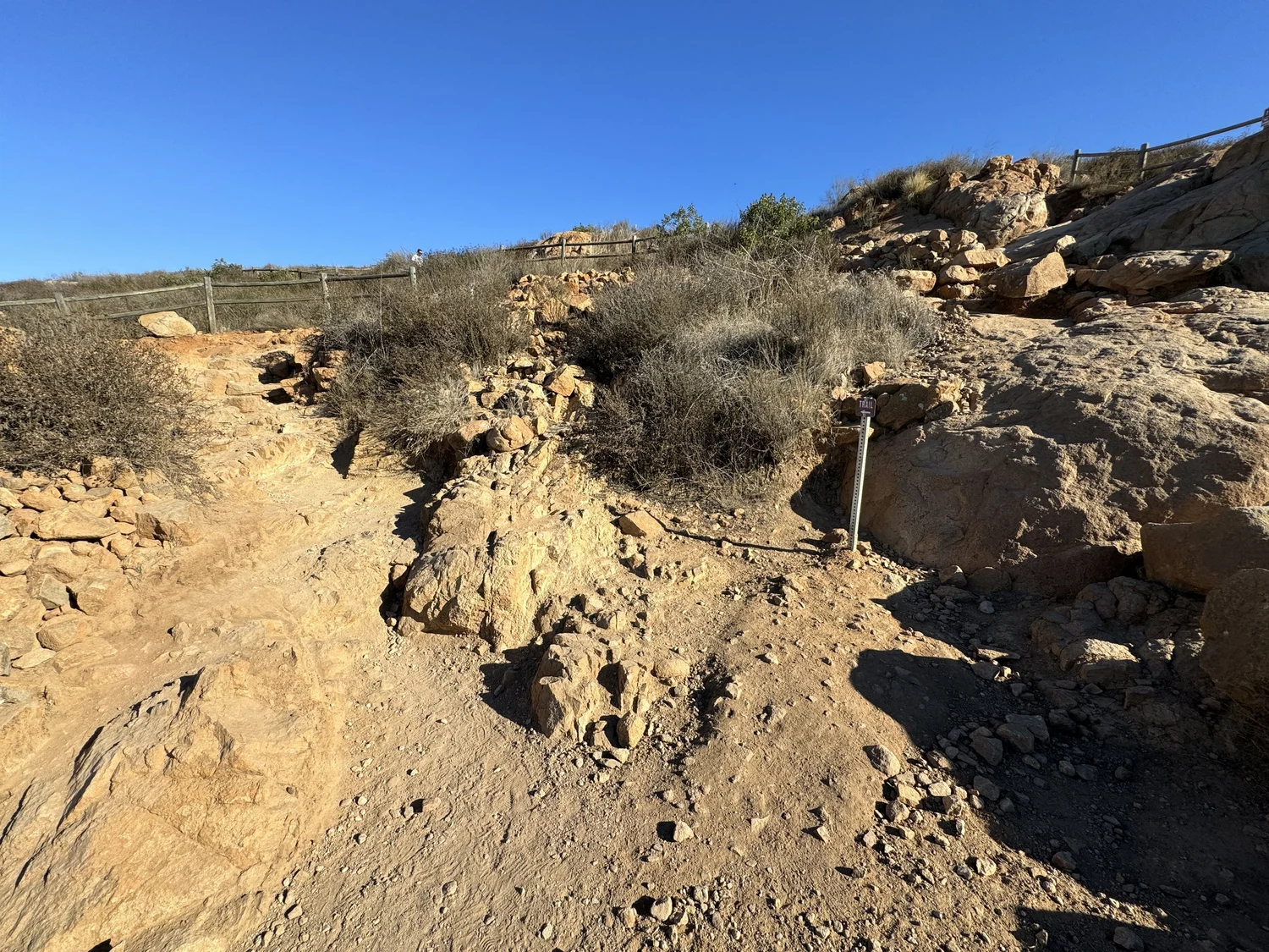 Hiking the Cowles Mountain Trail: The Tallest Peak in San Diego ...