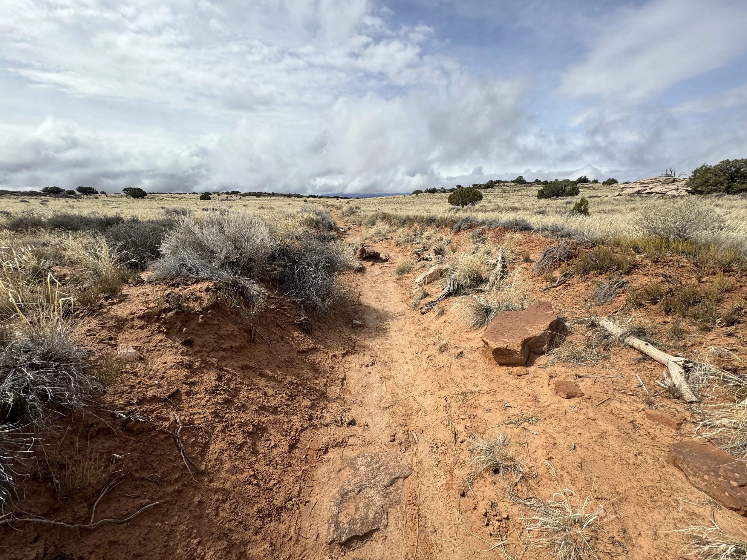 Hiking the Murphy Point Trail in Canyonlands National Park — noahawaii