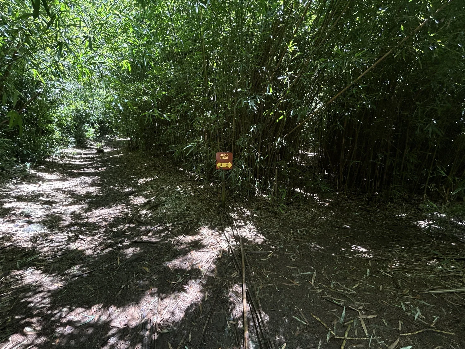 Hiking the Judd Trail & Jackass Ginger Pool on Oʻahu, Hawaiʻi — noahawaii