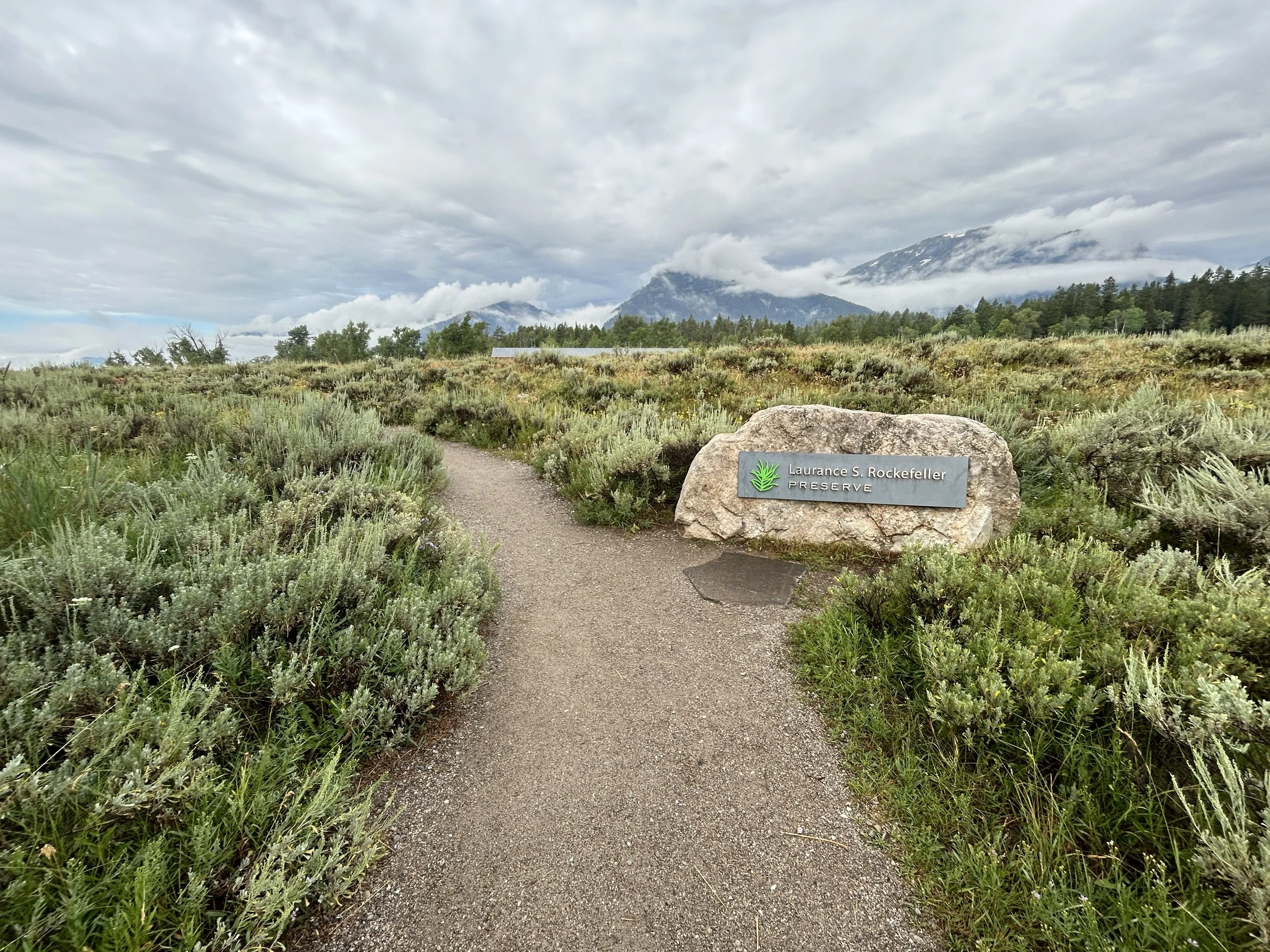 Hiking the Phelps Lake Loop Trail in Grand Teton National Park — noahawaii