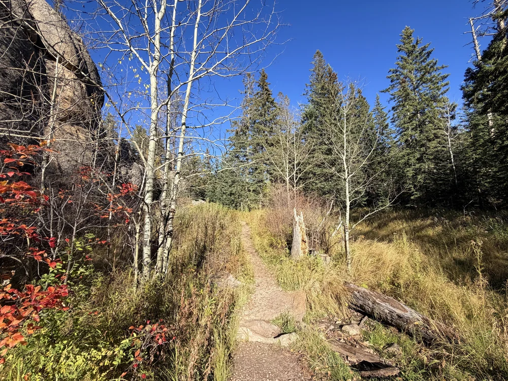 Hiking the Little Devils Tower Trail in Custer State Park in the Black ...
