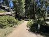 Hiking the Big Stump Loop Trail in Kings Canyon National Park — noahawaii