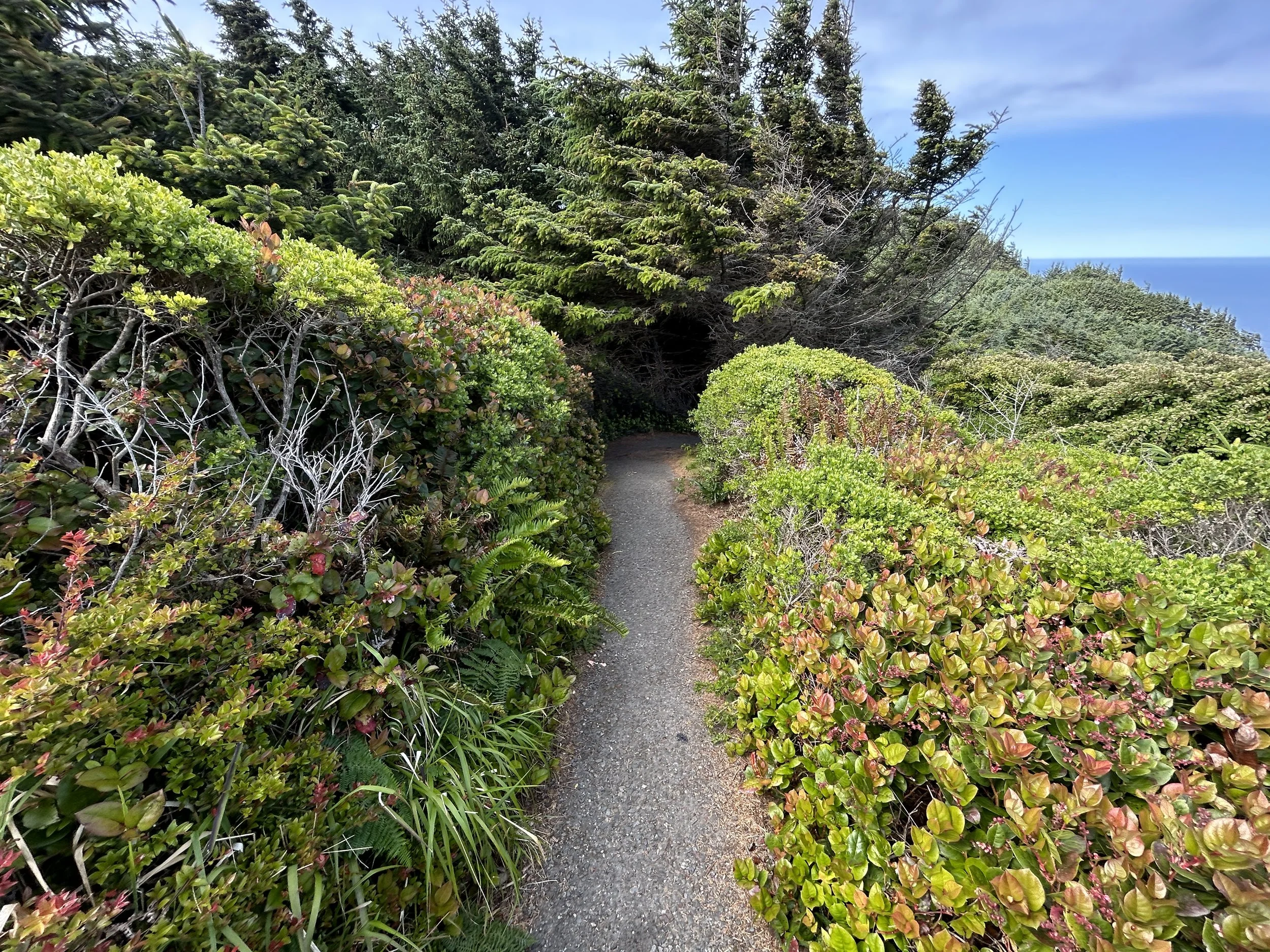 Hiking the Cape Sebastian Trail on the Oregon Coast — noahawaii
