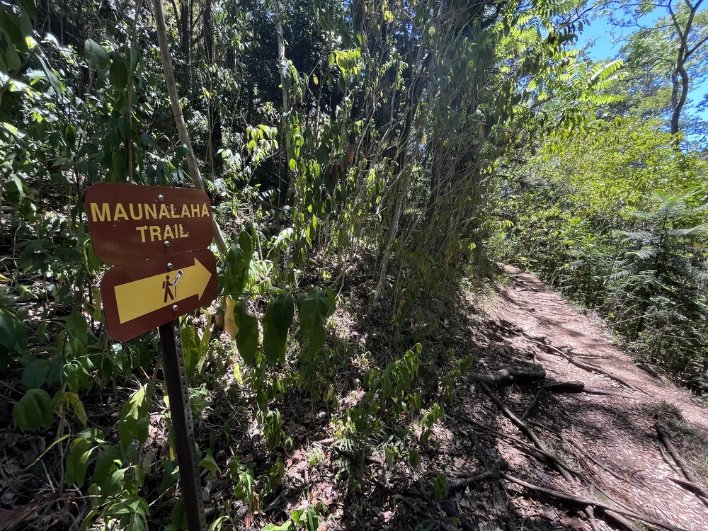 Hiking the Tantalus Loop Trail to the Pauoa Flats Bench on Oʻahu ...