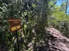 Hiking the Tantalus Loop Trail to the Pauoa Flats Bench on Oʻahu ...