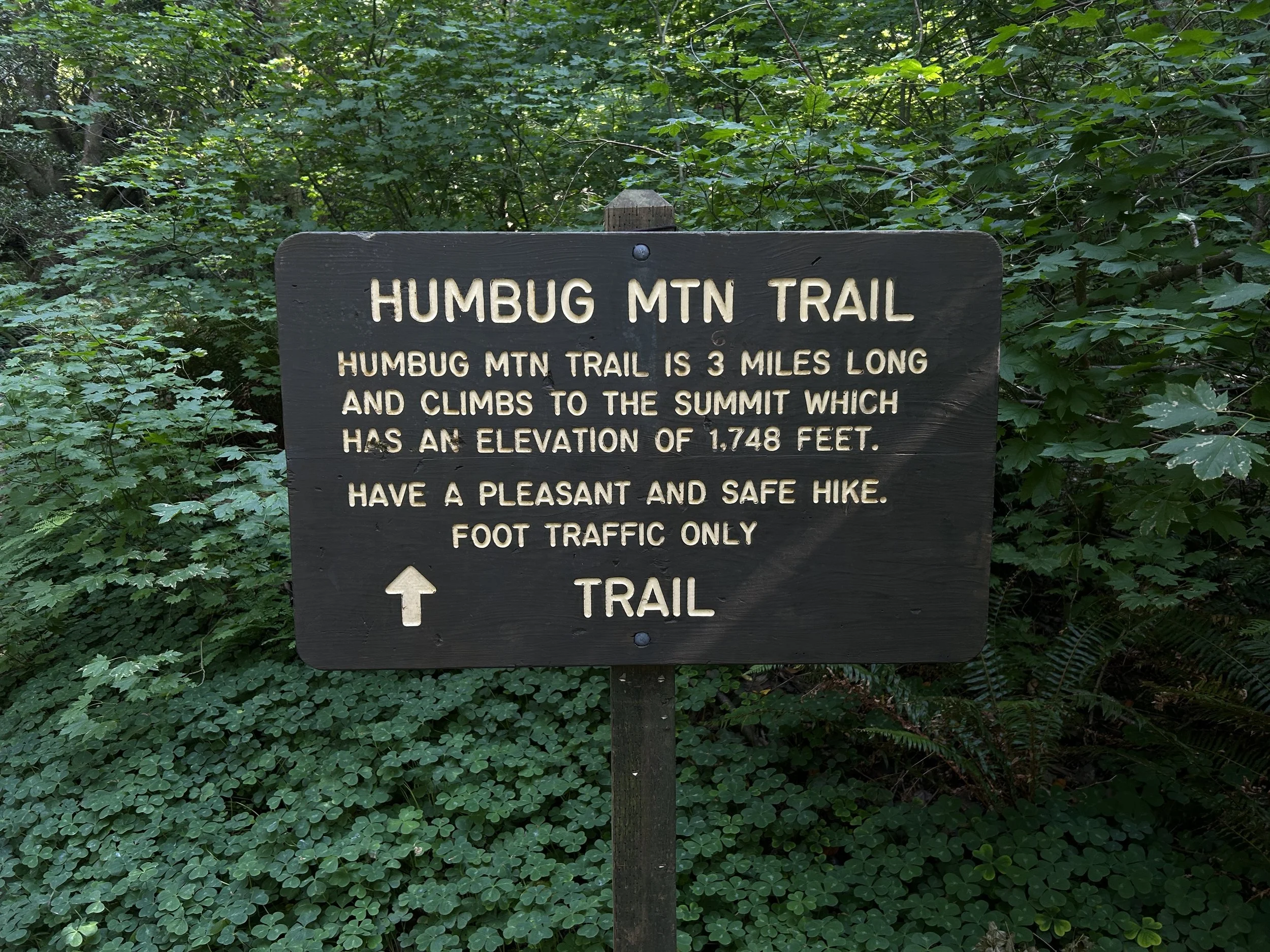 Hiking the Humbug Mountain Loop Trail on the Oregon Coast — noahawaii