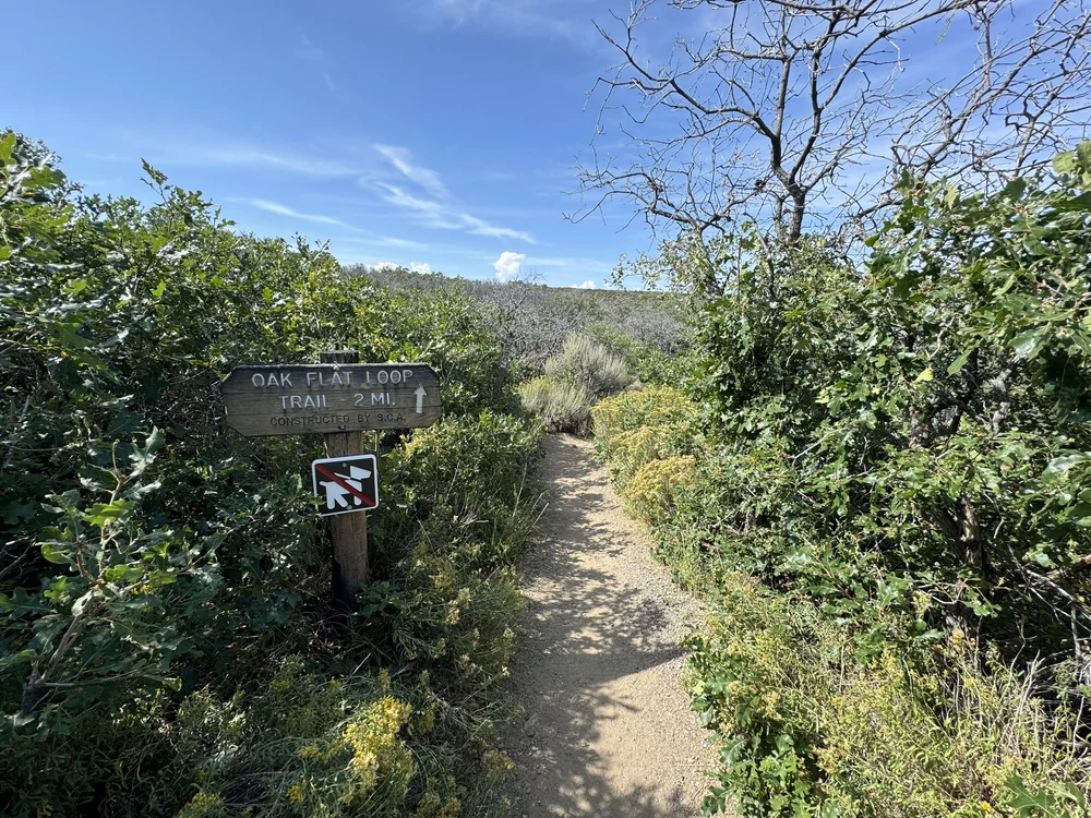 Hiking the Oak Flat Loop Trail in Black Canyon of the Gunnison National ...