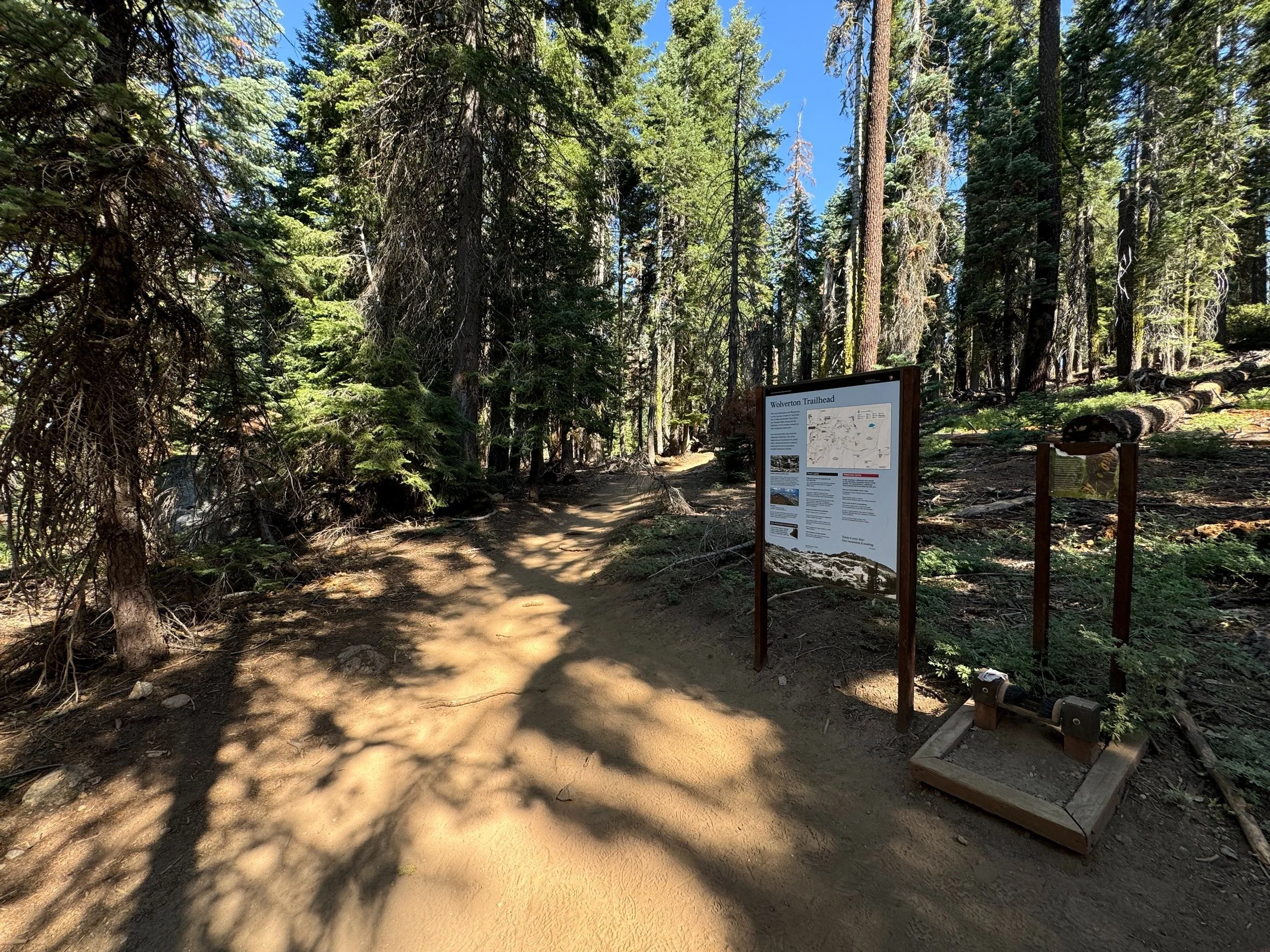 Hiking the Long Meadow Loop Trail in Sequoia National Park — noahawaii