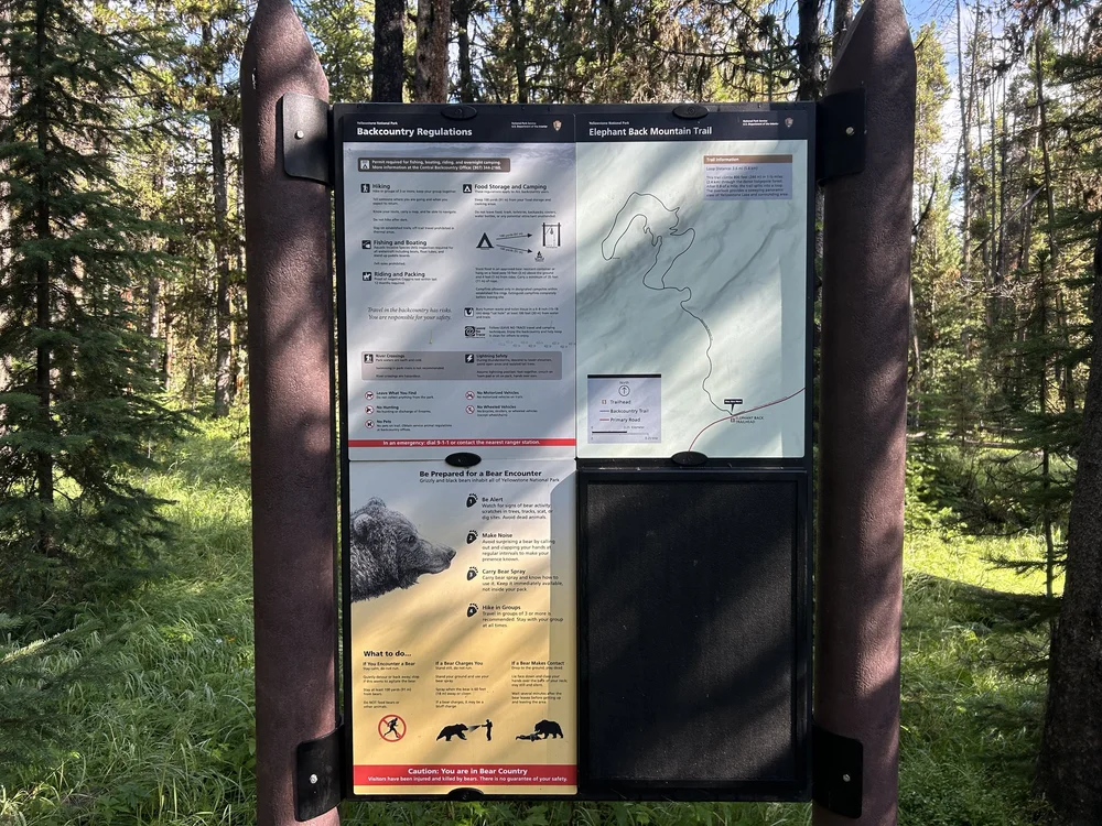 Hiking the Elephant Back Mountain Trail in Yellowstone National Park ...