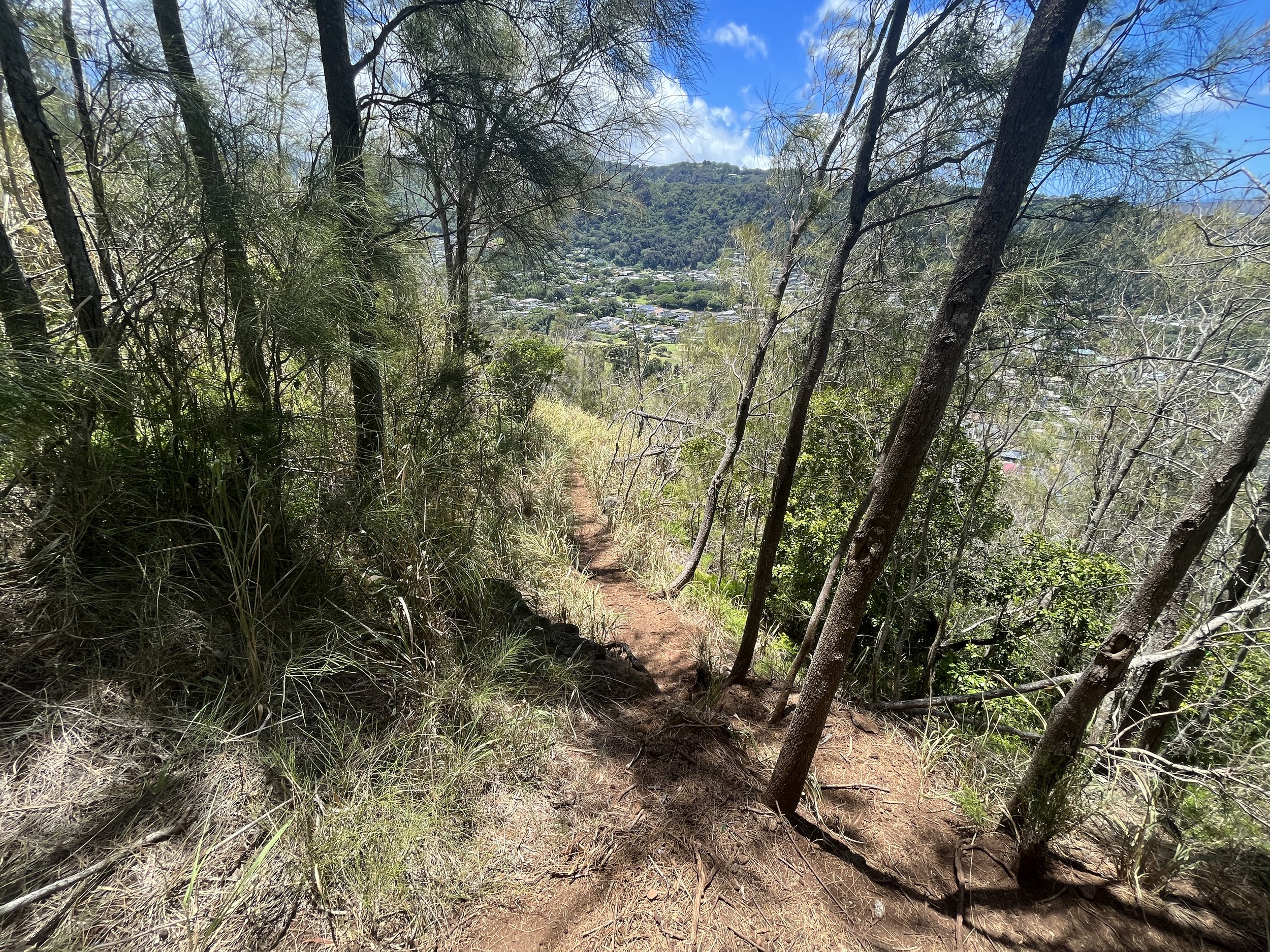 Hiking the Kapālama Ridge Trail to Puʻu Lanihuli on Oʻahu — noahawaii