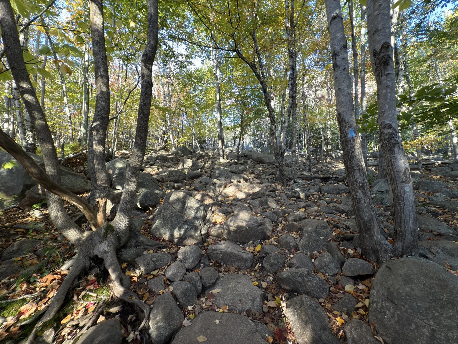 Hiking the Beehive Trail in Acadia National Park — noahawaii