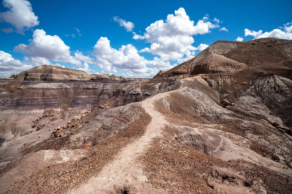 Hiking the Historic Blue Forest Trail in Petrified Forest National Park ...