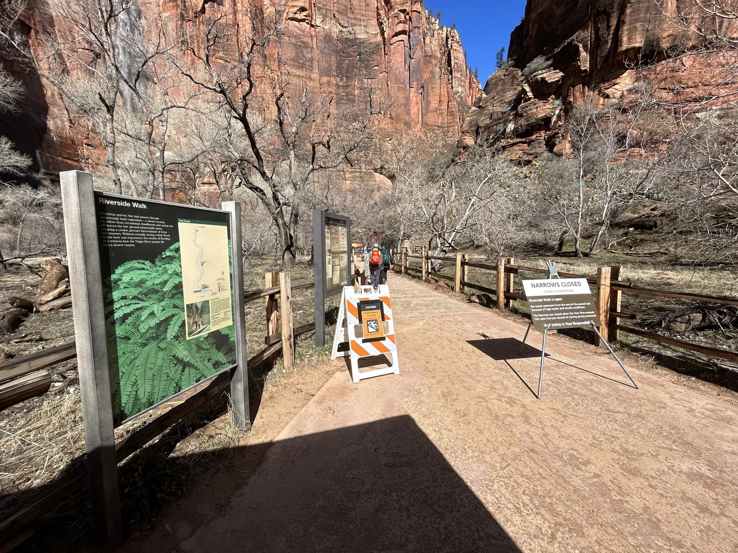 10 Best Things to Do in Zion National Park — noahawaii