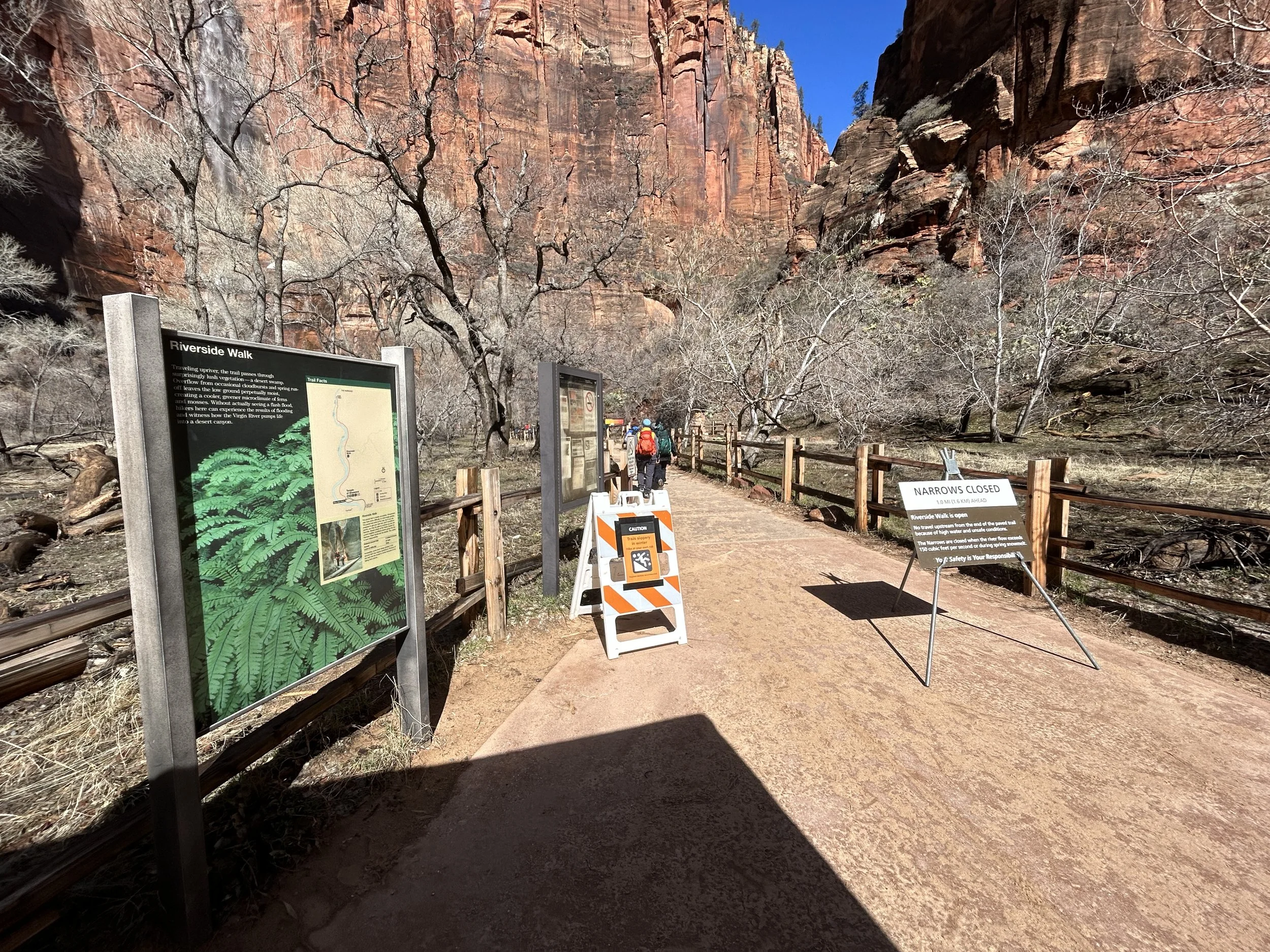 10 Best Things to Do in Zion National Park — noahawaii