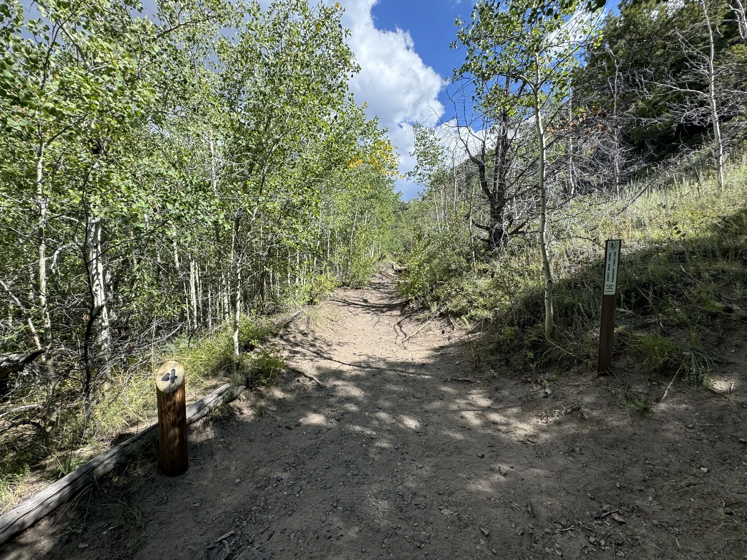 Hiking the Montville Nature Loop Trail in Great Sand Dunes National ...