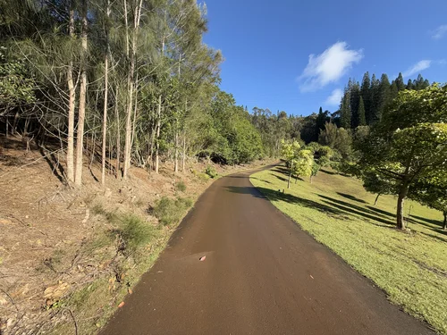 Hiking the Koloiki Ridge-Kaiholena Ridge Loop Trail on Lānaʻi, Hawaiʻi ...
