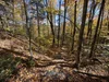 Hiking the Little Moose Pond Loop Trail in Greenville, Maine — noahawaii