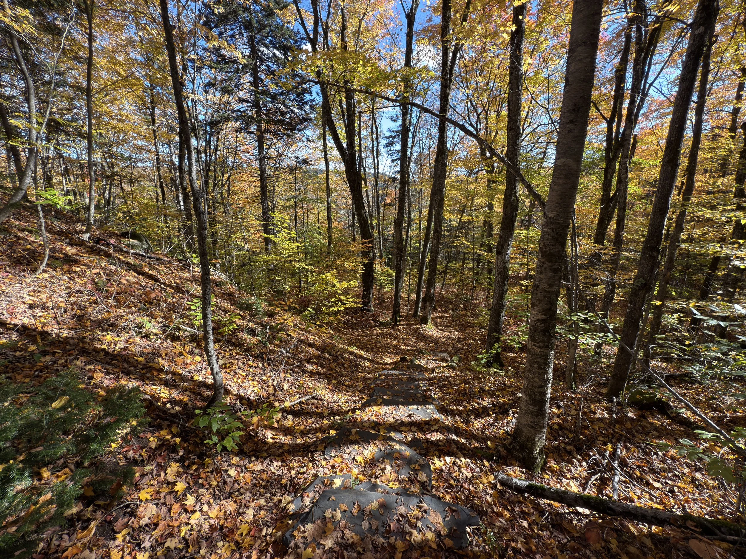 Hiking the Little Moose Pond Loop Trail in Greenville, Maine — noahawaii