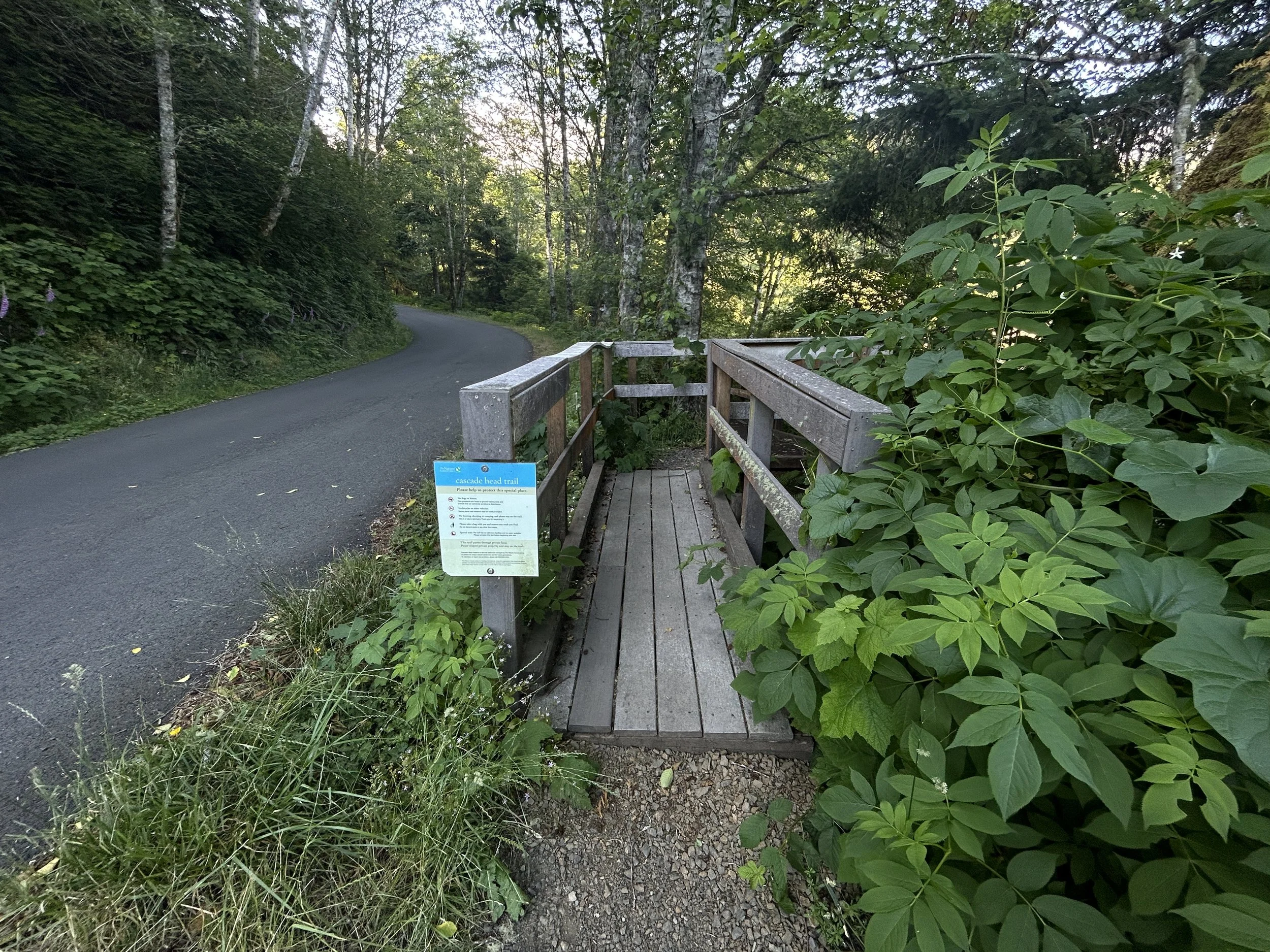 Hiking the Lower Cascade Head Trail on the Oregon Coast — noahawaii
