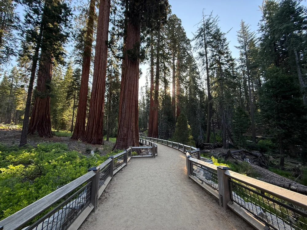 Hiking the Grizzly Giant Loop Trail in Yosemite National Park — noahawaii