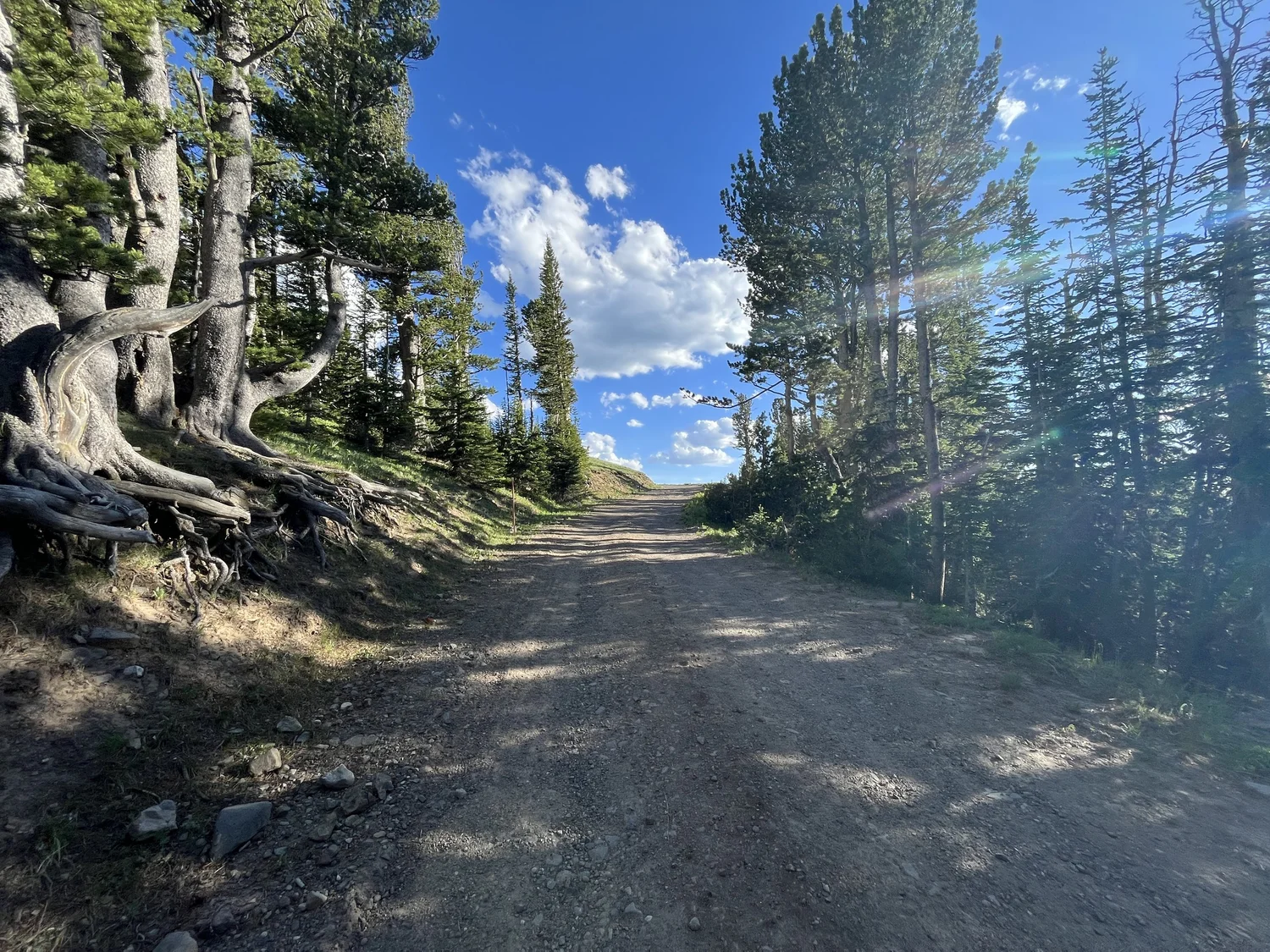 Hiking Mt. Washburn via Chittenden Road in Yellowstone National Park ...