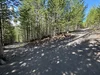 Hiking the Mystic Falls Trail (Little Firehole Loop) in Yellowstone ...